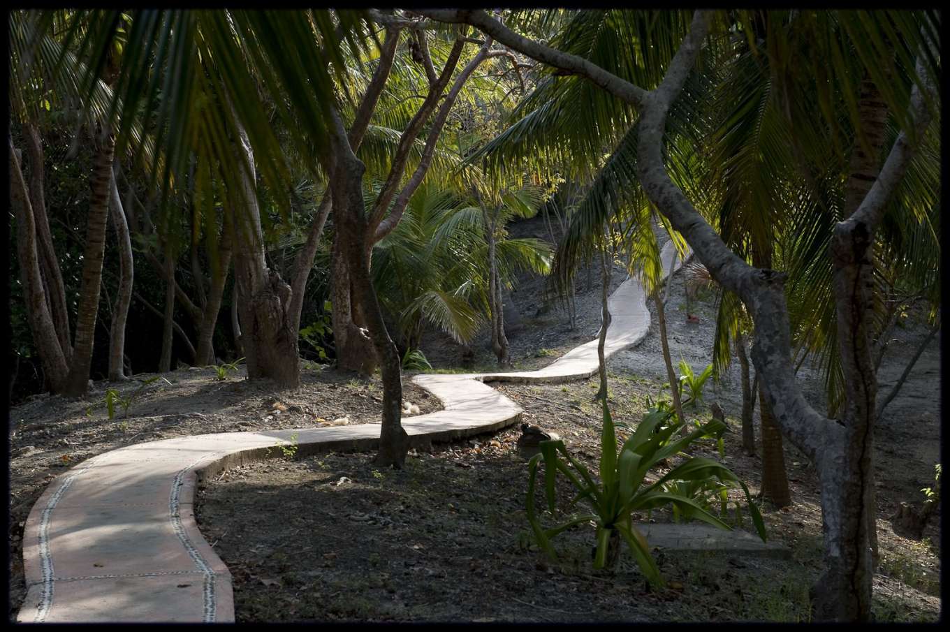 Coco Solo Island - Colombia, South America - Private Islands for Rent