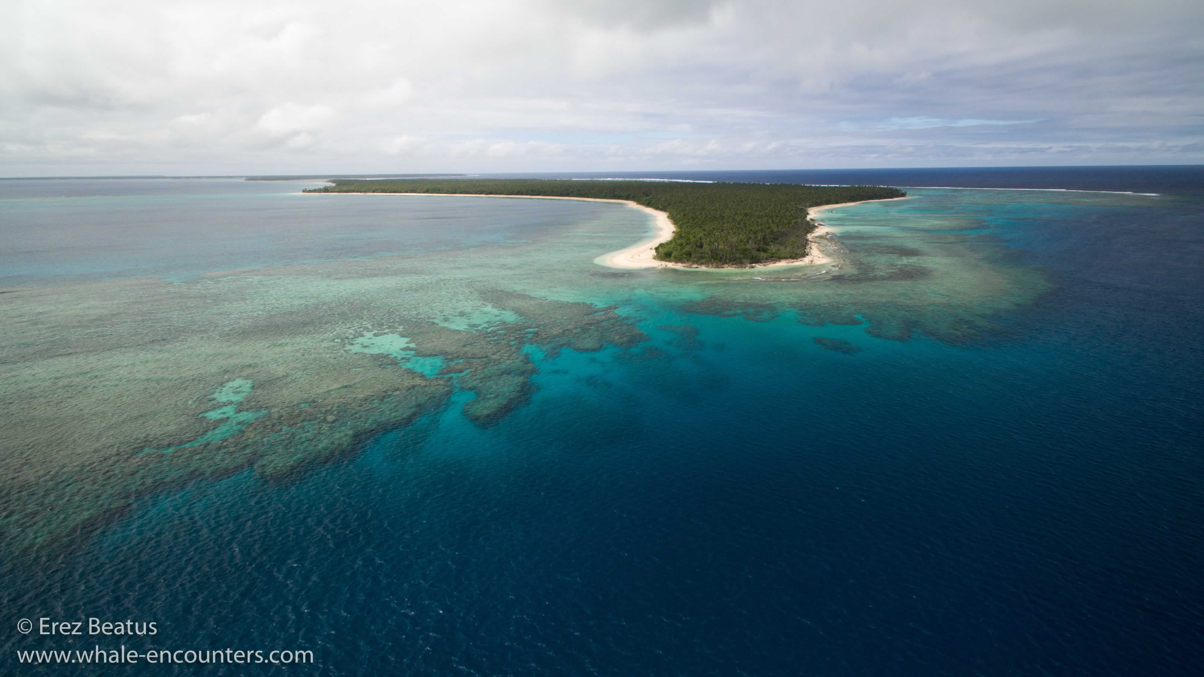 Serenity Beaches Resort - Tonga, South Pacific - Private Islands for Rent