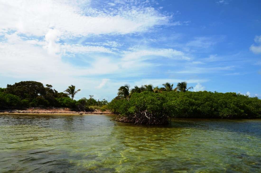 Cockroach Bay - Belize, Central America - Private Islands for Sale