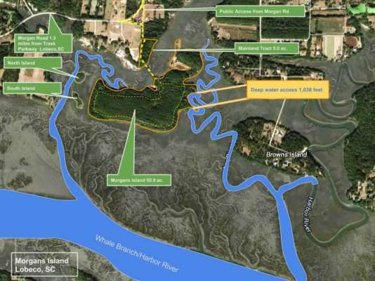 Morgan's Island - South Carolina, United States - Private Islands for Sale