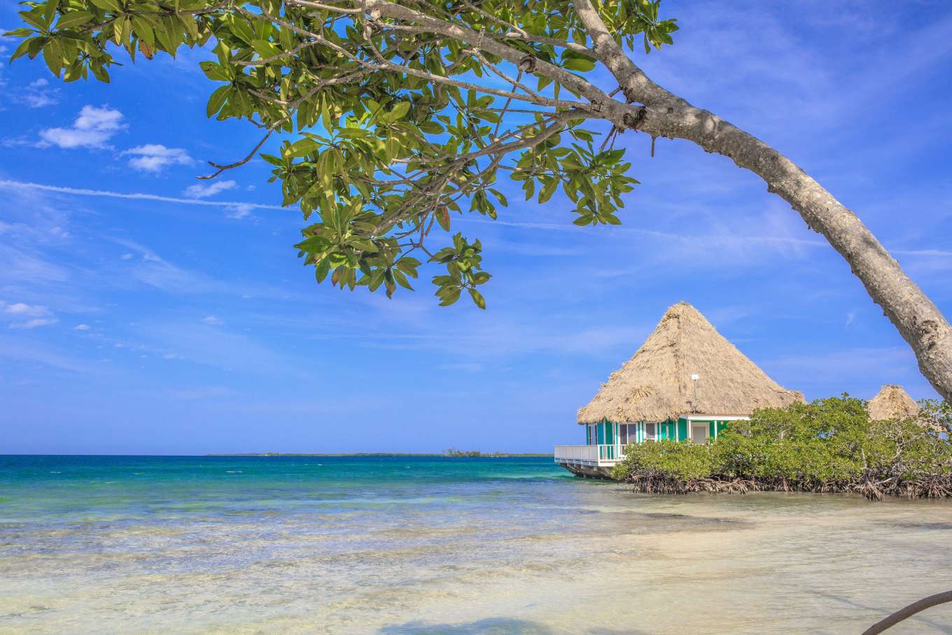 Coco Plum Island Resort - Belize, Central America - Private Islands for ...